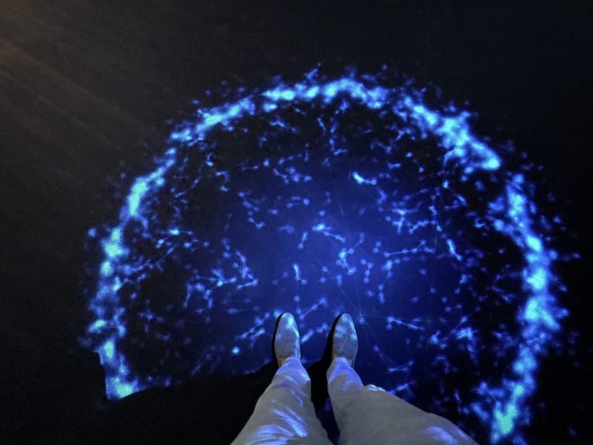 Expo pavilion | Interactive Solutions At Jordan Pavilion
